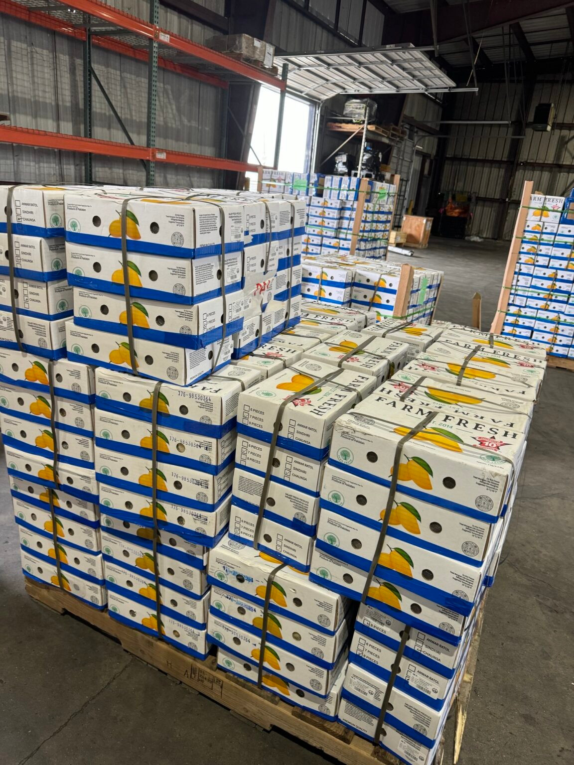 American Airlines Cargo moves record-breaking volumes of mangoes this ...